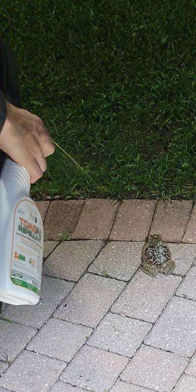 Direct Deterrent & Spot Treatment with Pet Protective Deterrent Coating ...